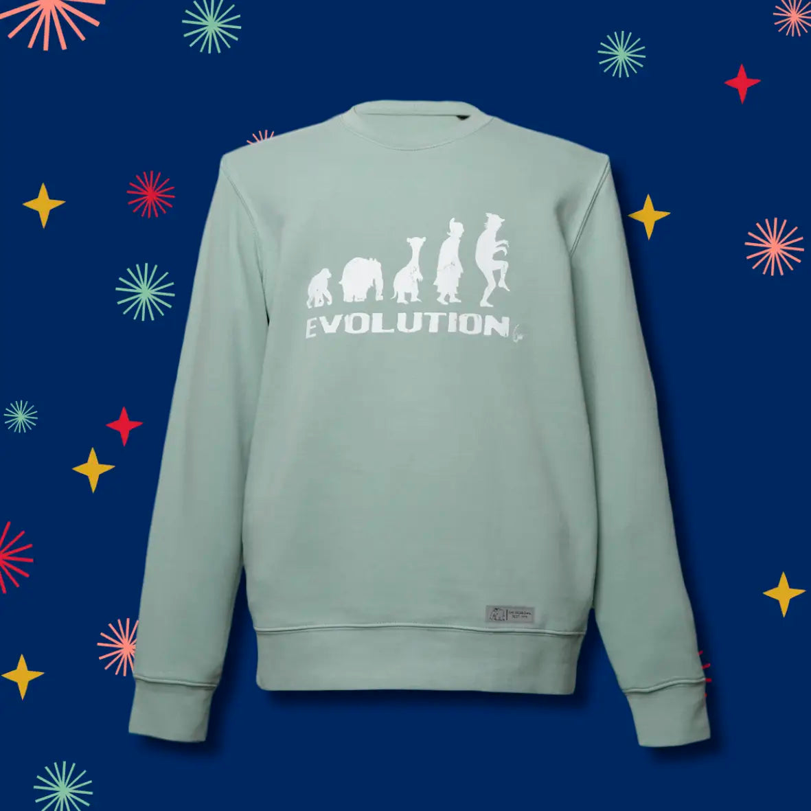 Sweatshirt Evolution in modernem Salbei | Ottifant.de